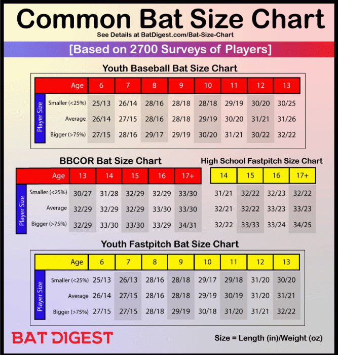 Understanding Fastpitch Softball Bat Specifications