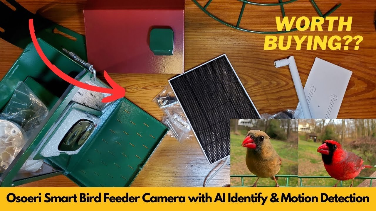Osoeri Smart Bird Feeder Camera With AI Identify And Motion Detection ...